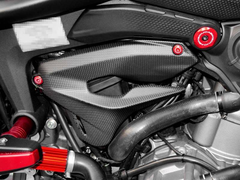 Ducabike Carbon Side Covers MONSTER 937 (2022-2023)